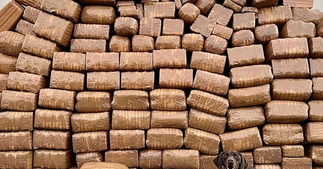 Federal Agents Seize 5,000 Pounds of Meth, a Record for a Border County ...