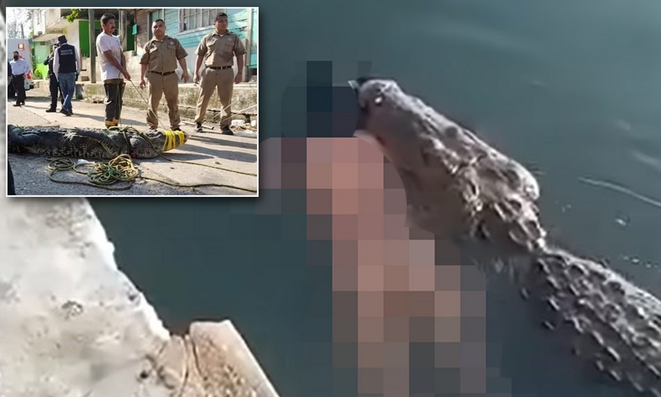 A Giant Croc Drags The Body Of A Dead Man Through A Mexican Lagoon